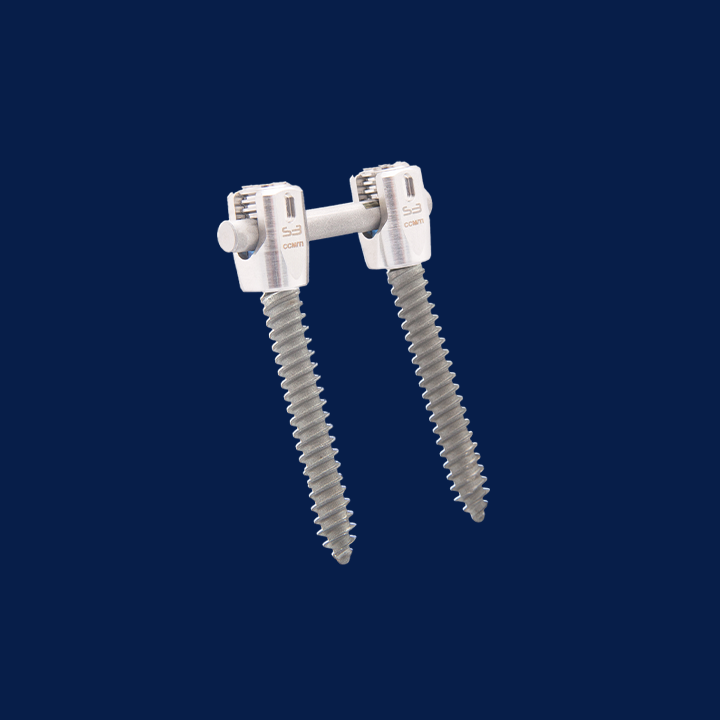 Posterior Lumbar – Southern Medical